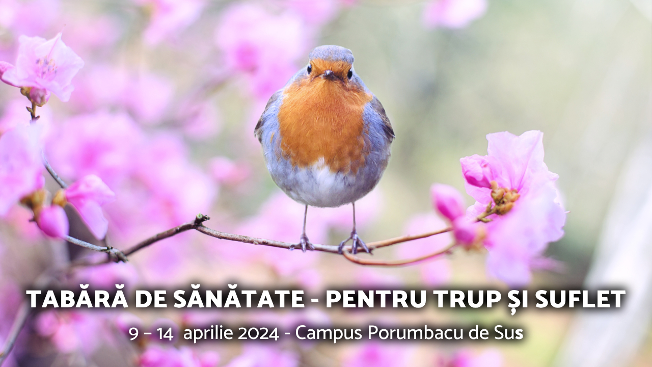 Tabără de Sănătate pentru Trup și Suflet / 9 – 14 aprilie 2024 | AZS-MR
